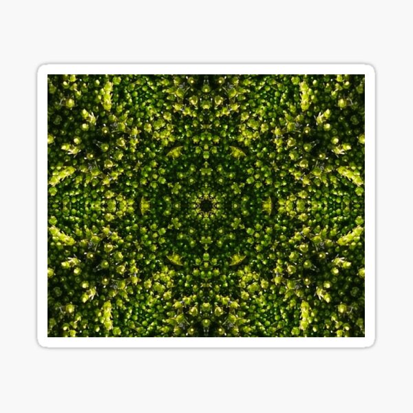 "Micro" Sticker for Sale by DoKoDesign | Redbubble