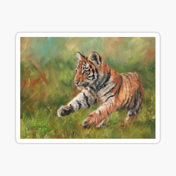 "Tiger Cub Running" Sticker by davidstribbling | Redbubble