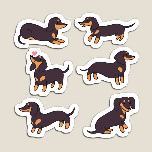 Imán «Paquete de pegatinas Dachshund: un lindo patrón de ilustración de ...