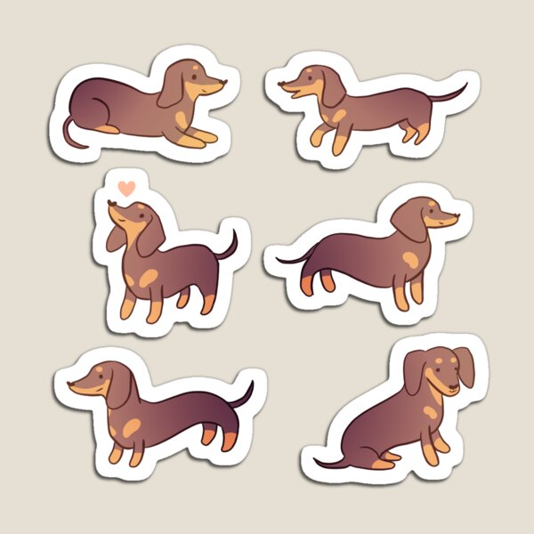 Imán «Paquete de chocolate y bronceado Dachshund: un lindo patrón de ...