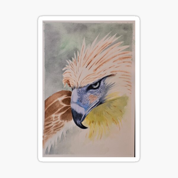 "Philippine eagle" Sticker for Sale by VidasArt | Redbubble