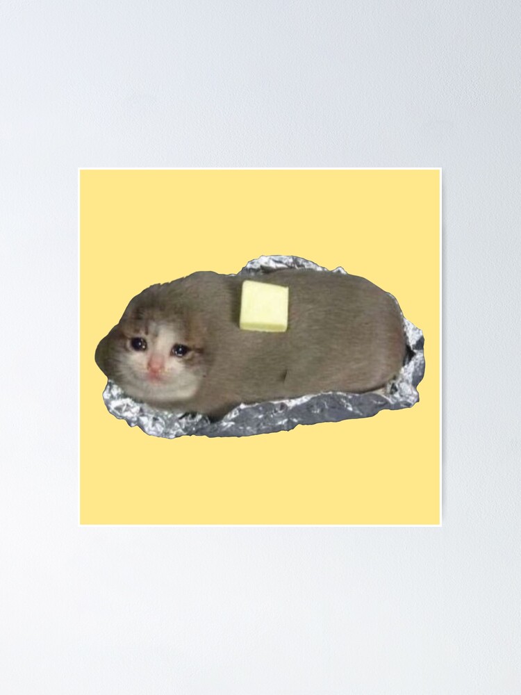 Sad Cat Meme Poster For Sale By Tttatia Redbubble
