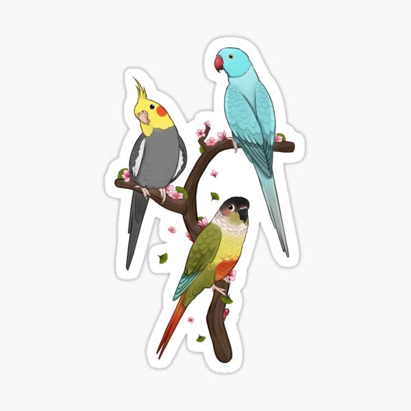 "Cute Parrots" Sticker for Sale by meruesan | Redbubble