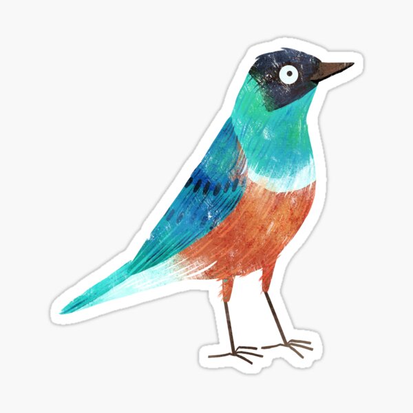 "Superb Starling" Sticker for Sale by stephfizerc | Redbubble
