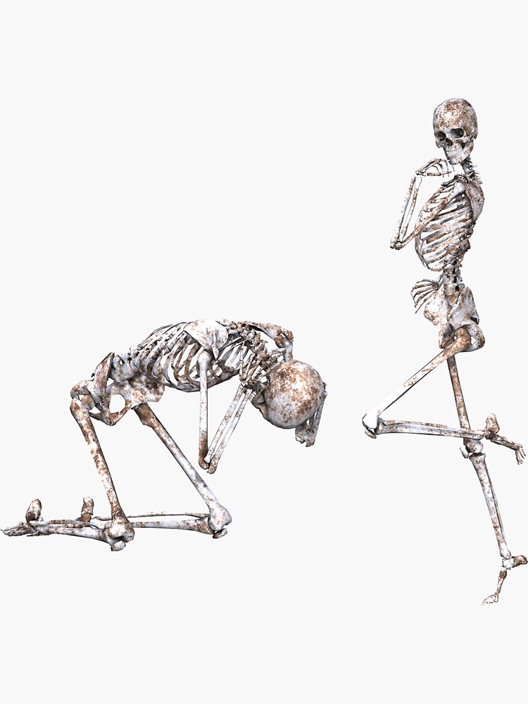 "Halloween - Skeleton Proposal" Sticker for Sale by STYLESYNDIKAT ...