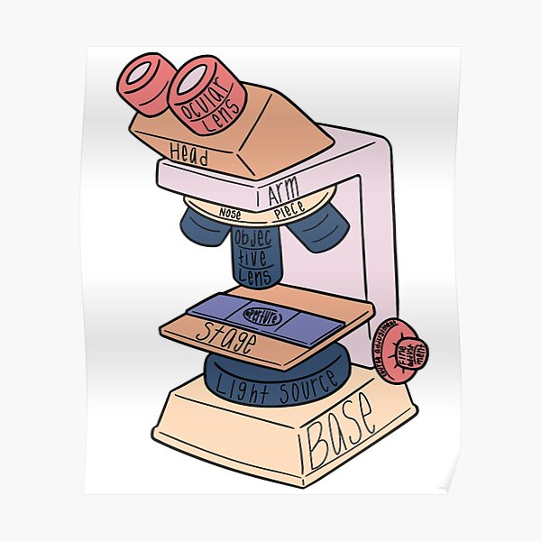 "Labeled Microscope" Poster for Sale by KatherineWinner | Redbubble
