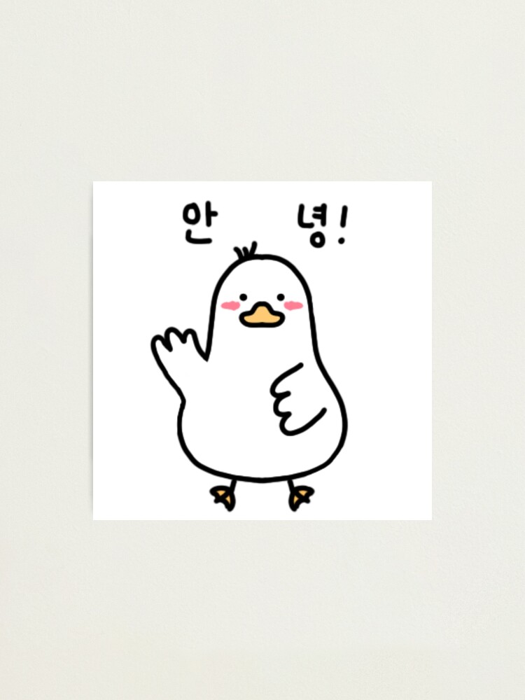 "Mr. Kwak's Hi! (Duck)" Photographic Print for Sale by Jusnow0 | Redbubble