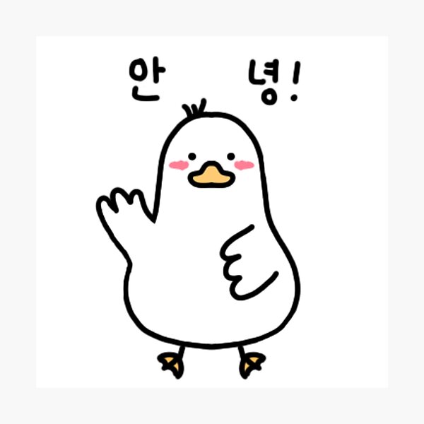 "Mr. Kwak's Hi! (Duck)" Photographic Print for Sale by Jusnow0 | Redbubble