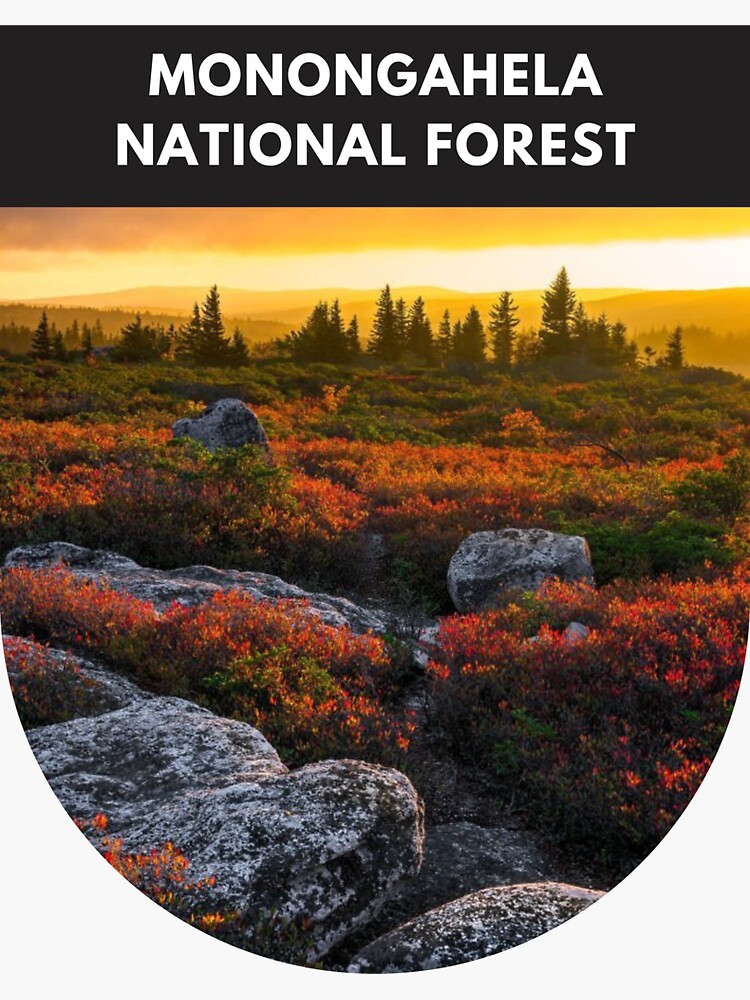 "Monongahela National Forest the Dolly Sods Wilderness" Sticker for ...