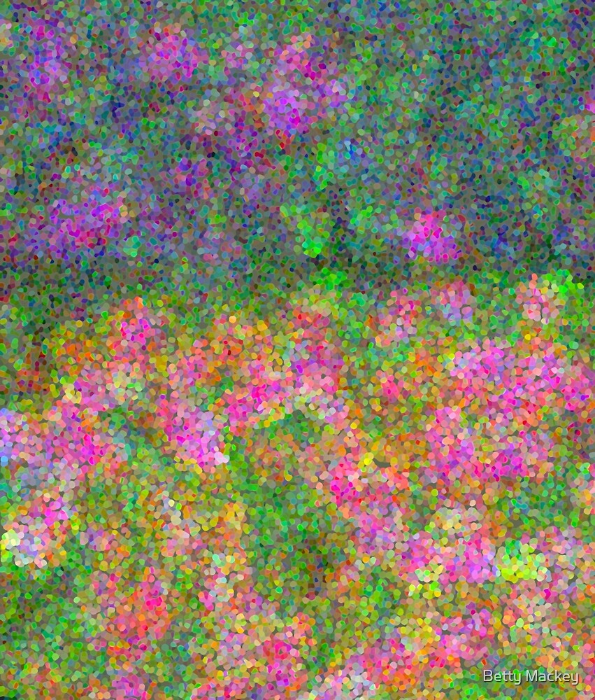 "Meadow Pattern with Flowers" by Betty Mackey | Redbubble