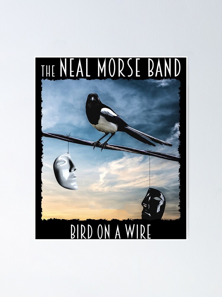 "Bird on a Wire - NMB" Poster for Sale by LegendViking | Redbubble