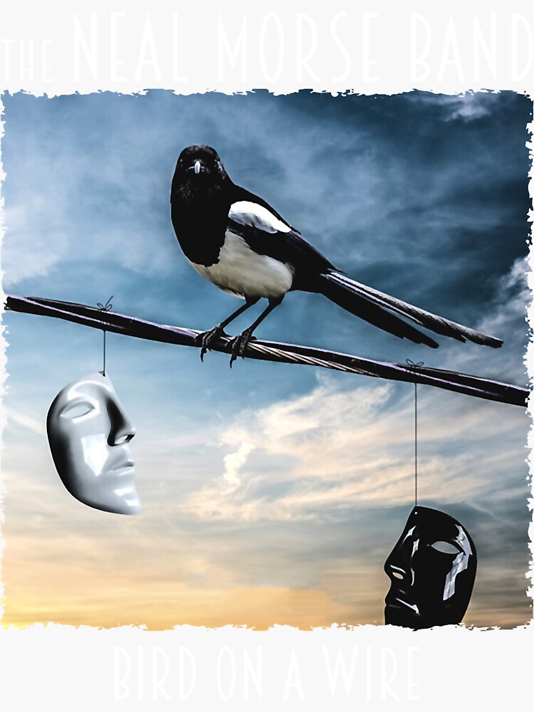 "Bird on a Wire - NMB" Sticker for Sale by LegendViking | Redbubble