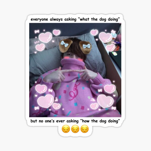 "what the dog doing" Sticker for Sale by strawberrygummy | Redbubble