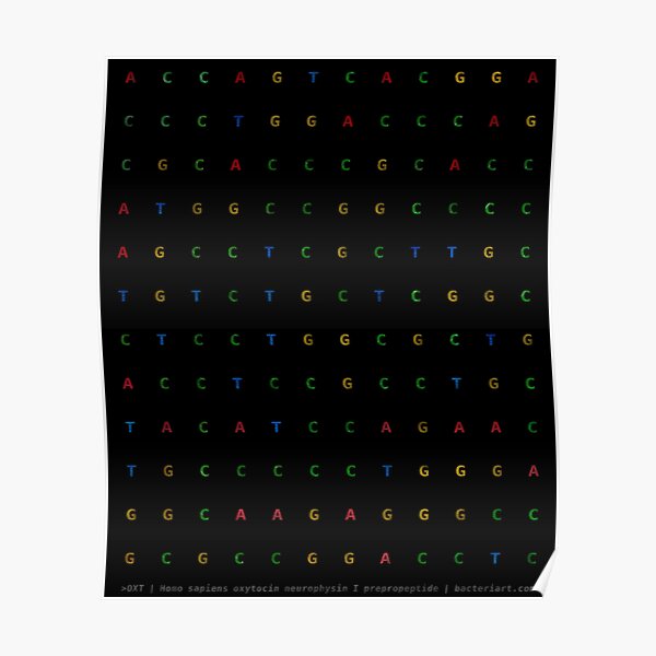 "DNA Sequence Colorful Gene ATGC RNA" Poster for Sale by bacteriart ...