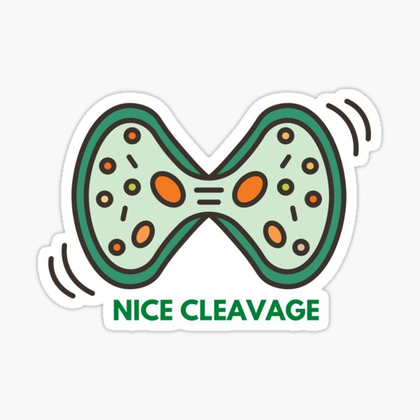 "Nice cleavage, cell division" Sticker for Sale by ScienceStores ...