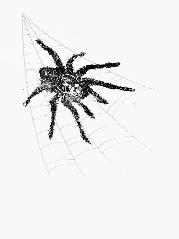 "y2k vintage spider web design" Sticker for Sale by FunRepublic | Redbubble