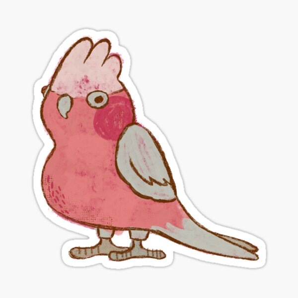 "Cute Pink Galah Australian Parrot Bird" Sticker for Sale by ...