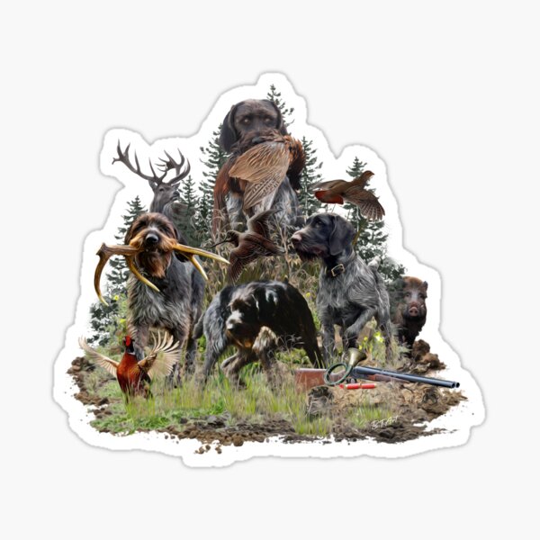 "German Wirehaired Pointers, GWP Pointing dog " Sticker for Sale by ...