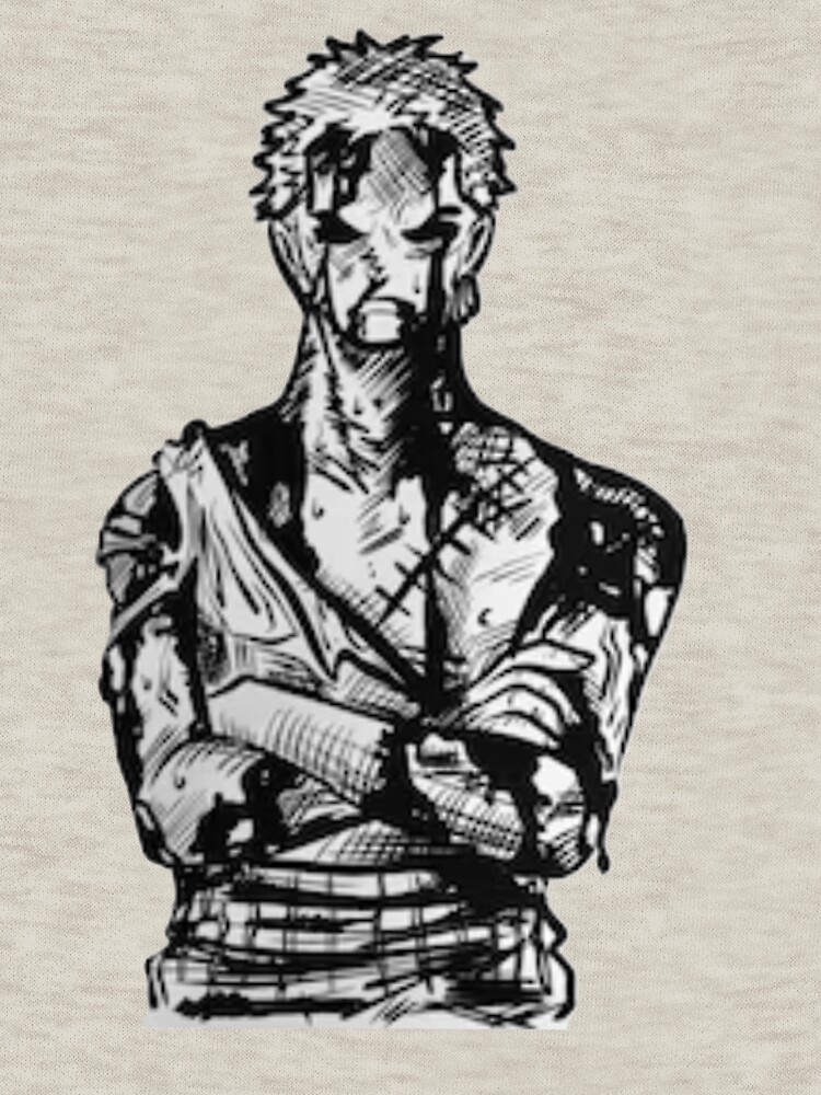 "Zoro Hoodie | roronoa zoro | Zoro One Piece | Roronoa Zoro One piece | T-shirt Lightweight ...