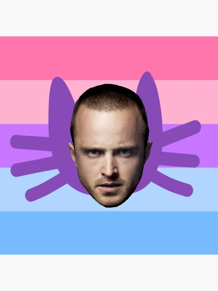 "Cat Gender Jesse Pride" Sticker for Sale by Stephen-Strange | Redbubble