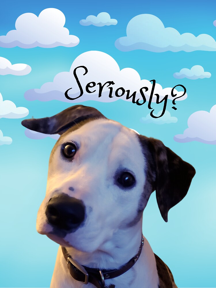 "Puppy head tilt in the clouds" Sticker for Sale by CatahoulaDoo ...