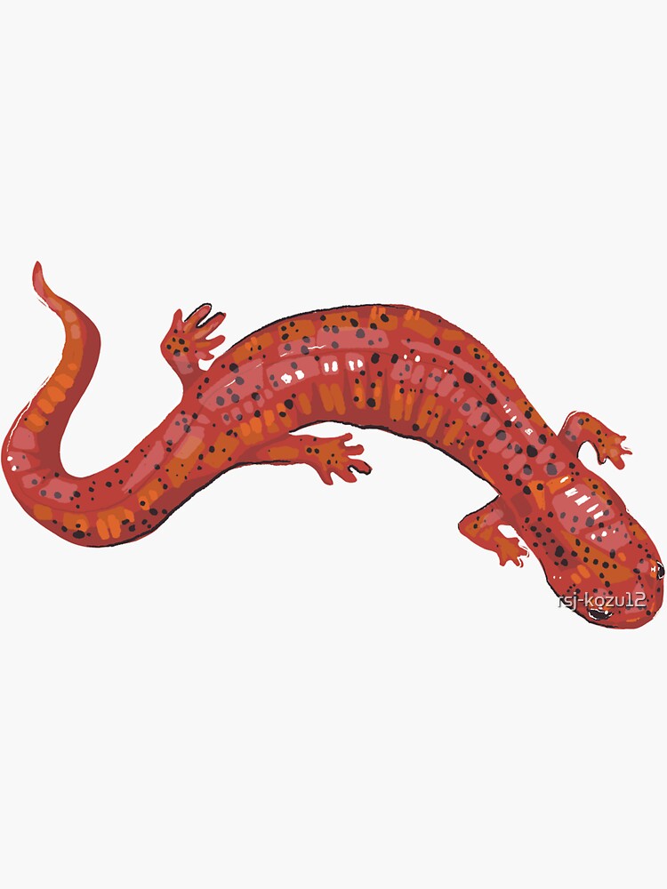 "Northern Red Salamander" Sticker for Sale by rsj-kozu12 | Redbubble