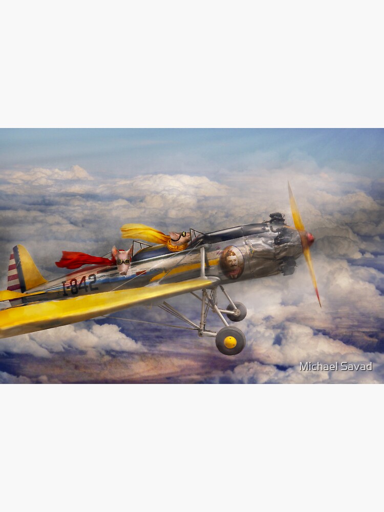 "Flying Pig - Plane -The joy ride" Sticker for Sale by mikesavad ...