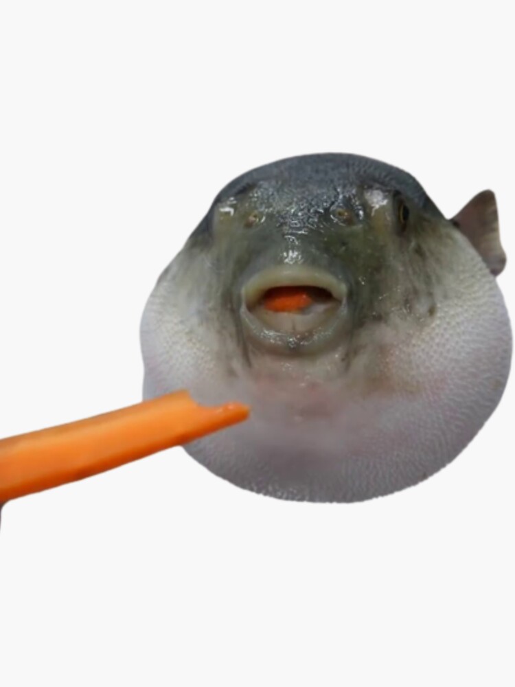"Pufferfish Eats Carrot Meme AUGH " Sticker for Sale by FreshDankMemes ...