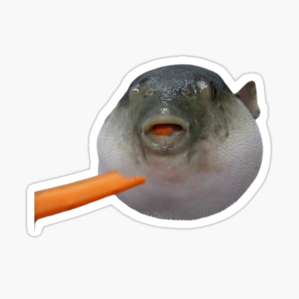 "Pufferfish Eats Carrot Meme AUGH " Sticker for Sale by FreshDankMemes ...