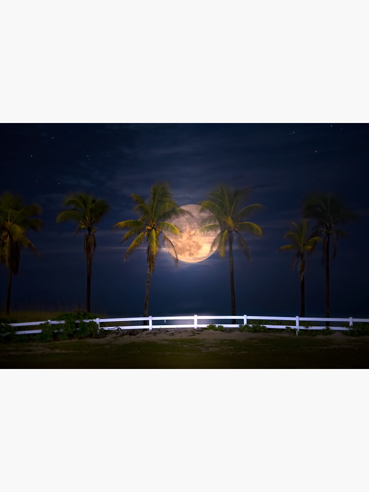 "Under a Coconut Moon" Sticker for Sale by VisualVoyages | Redbubble