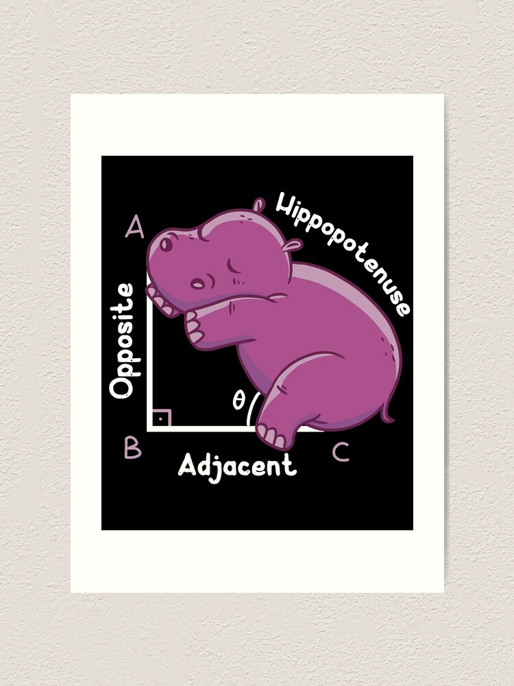 Pythagoras Cartoon Funny