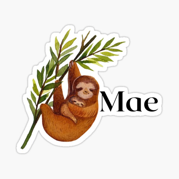 Pegatina « Expresión de la palabra costarricense Mae con lindos ...