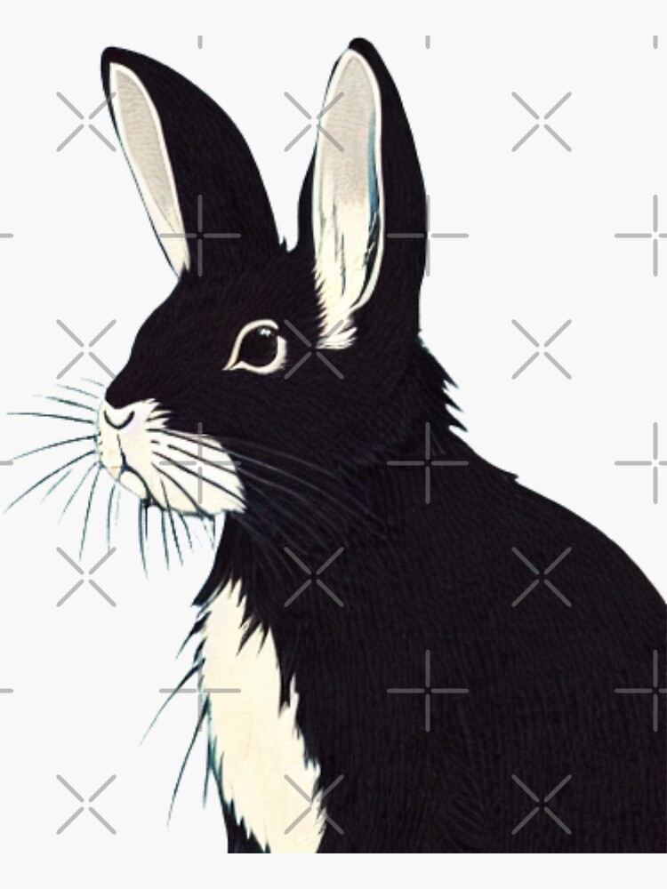 "Funny Black Mini Rex Rabbit American Bunny Cute Giant Bunny Mom ...