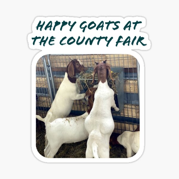 "Happy Goats At The County Fair" Sticker for Sale by TechLaughs | Redbubble