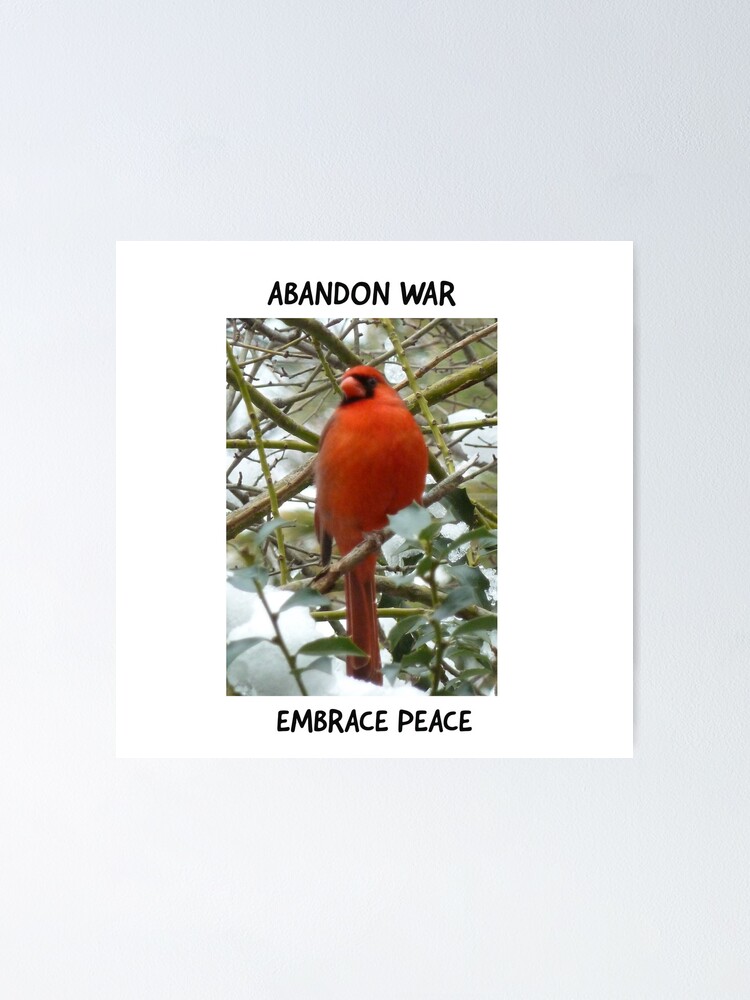 "ABANDON WAR, EMBRACE PEACE" Poster for Sale by TechLaughs | Redbubble