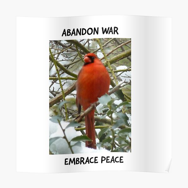 "ABANDON WAR, EMBRACE PEACE" Poster for Sale by TechLaughs | Redbubble