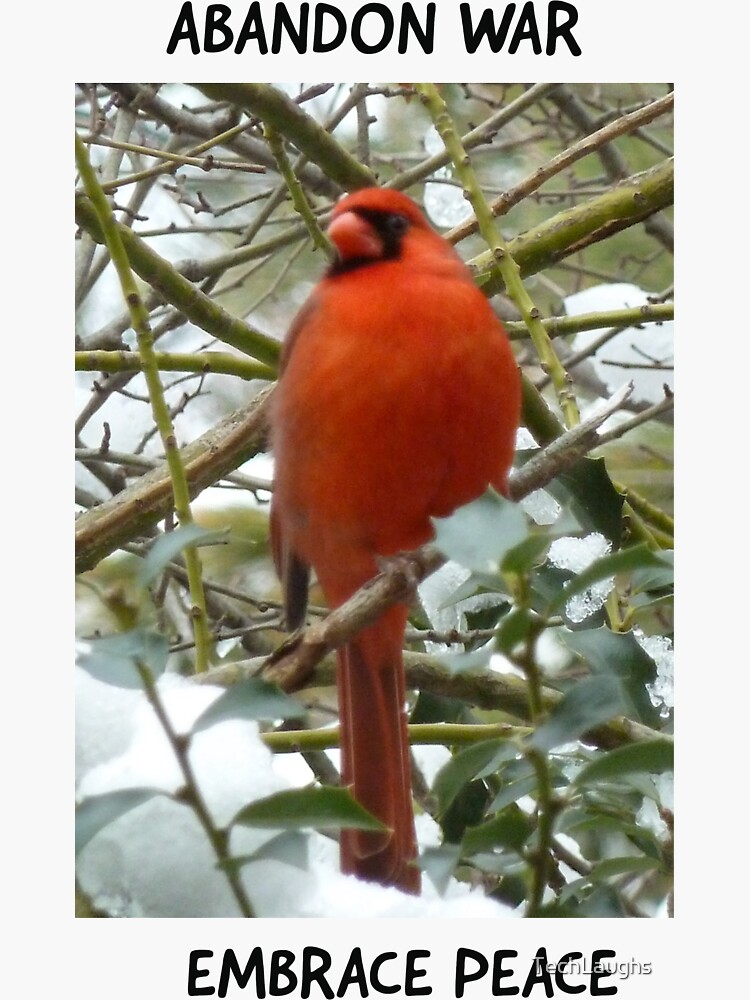 "ABANDON WAR, EMBRACE PEACE" Sticker for Sale by TechLaughs | Redbubble