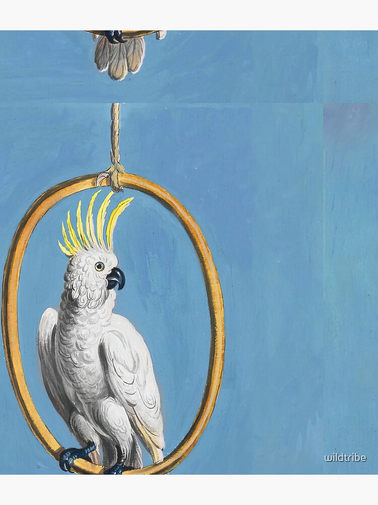 Sulphur-crested Cockatoo Backpack sold by F jason Davis | SKU 42449524 ...