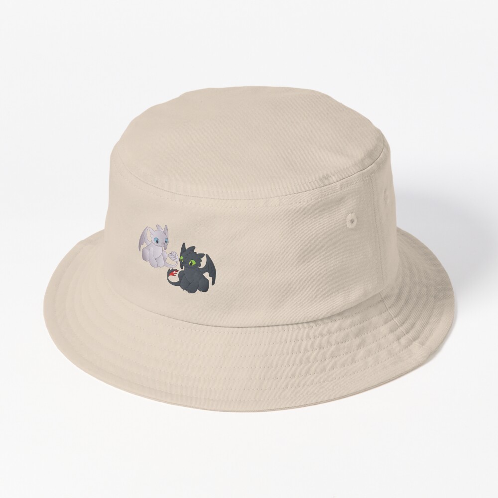 "Toothless and Lightfury - How to Train Your Dragon " Poster for Sale ...