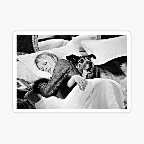 "Brigitte Bardot actress " Sticker for Sale by Aniatom | Redbubble