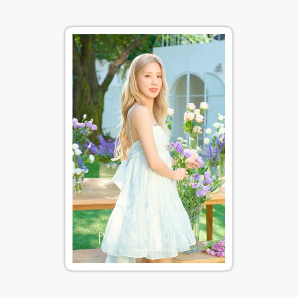 "GIDLE MIYEON - SEASONS GREETINGS 2023" Sticker for Sale by Kpop-IN-and ...