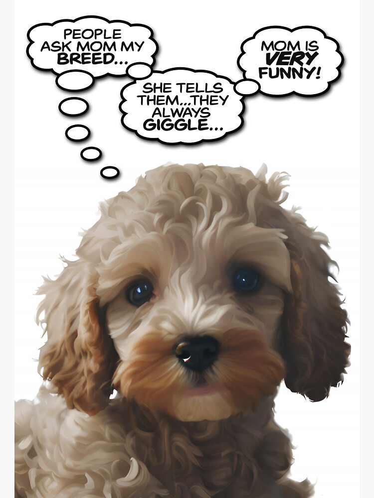 "Cockapoo" Sticker for Sale by LittlePetDesign | Redbubble