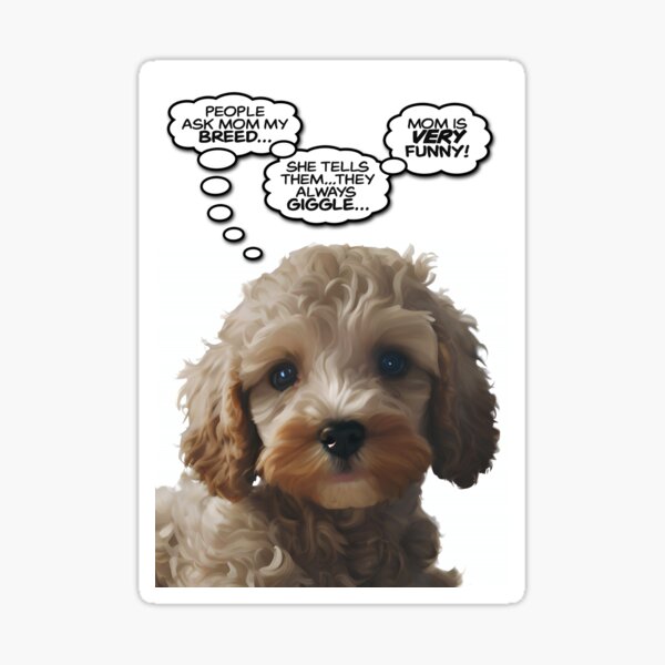 "Cockapoo" Sticker for Sale by LittlePetDesign | Redbubble