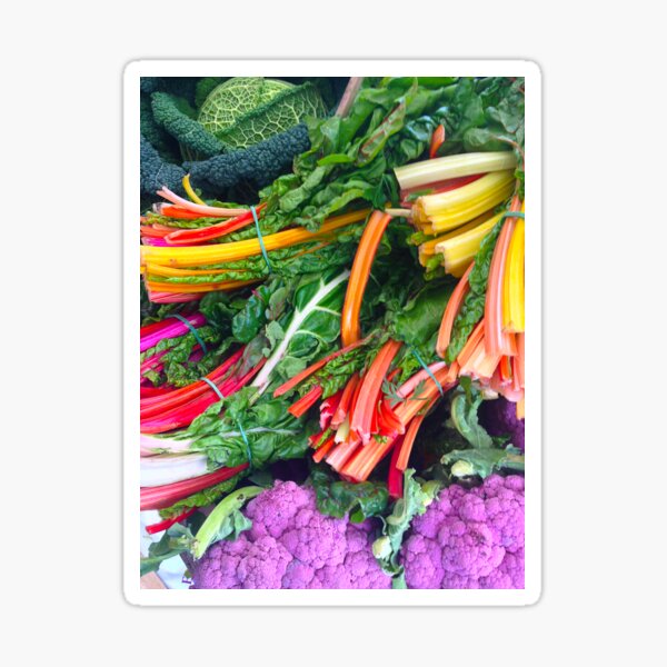 "Colourful leaves of a rhubarb" Sticker for Sale by BrunoBeach | Redbubble