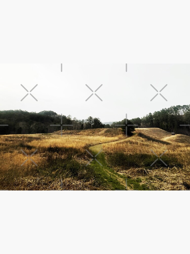 "Pinhoti Piedmont" Sticker for Sale by Beardeaux | Redbubble