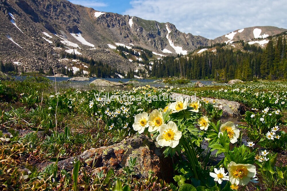"Diamond Lake" by Valentina Gatewood | Redbubble