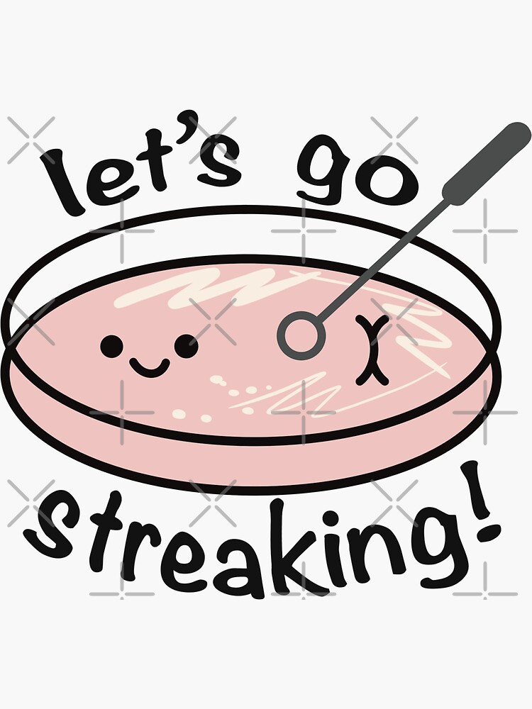 "Lets go (plate) streaking (version 2)" Sticker for Sale by TrailMixArt ...