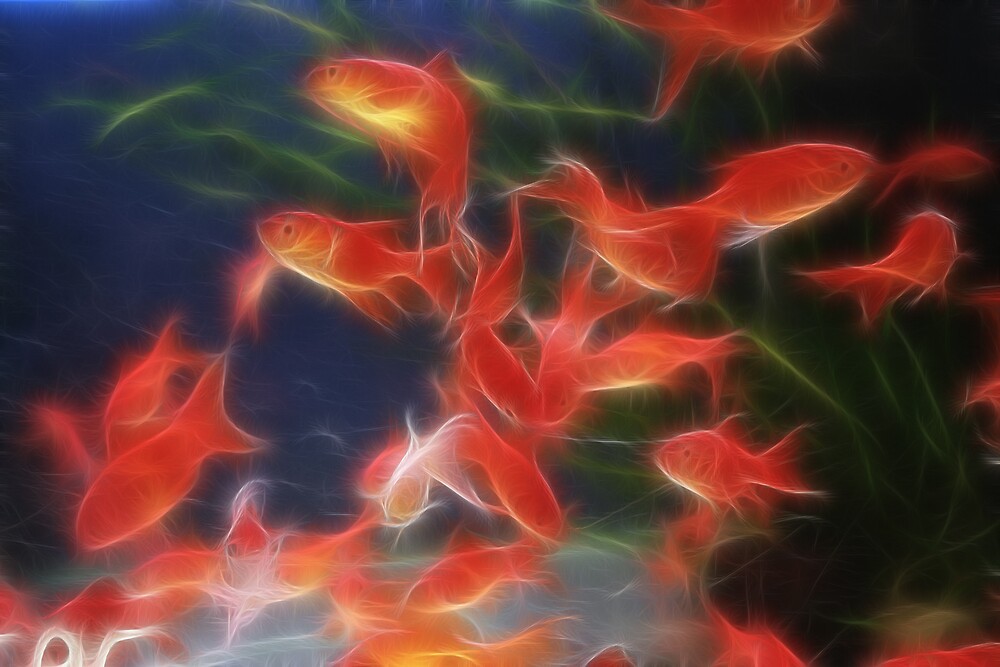 "glowing goldfish" by SarahTrangmar | Redbubble