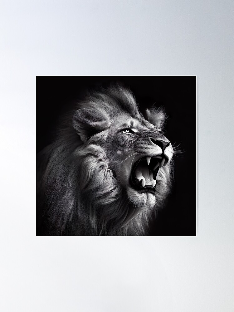 Rugissement Du Lion Noir Et Blanc Lion Noir Et Blanc