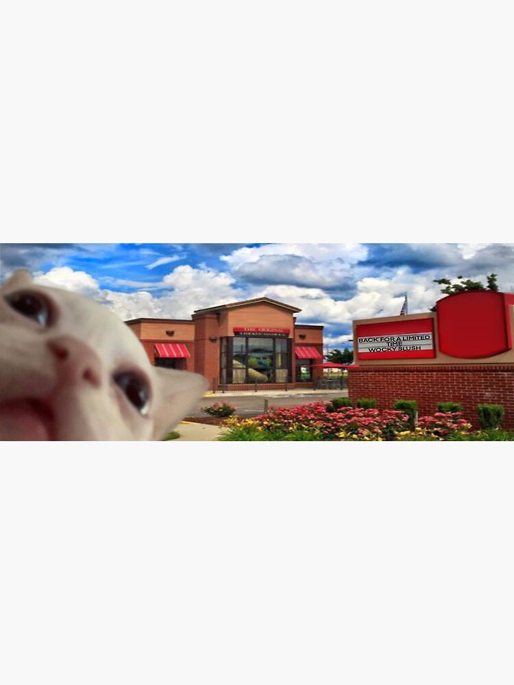 "wocky slush cat at a drive thru" Sticker for Sale by BingusBonkus ...